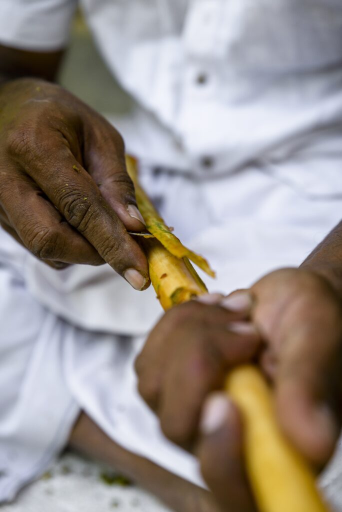 Amangalla - Galle - Tempo da Delicadeza