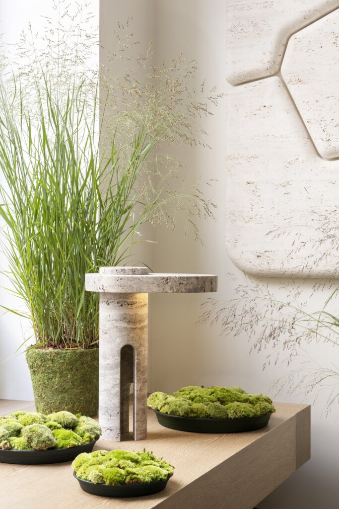 Paris Design Week - Tempo da Delicadeza